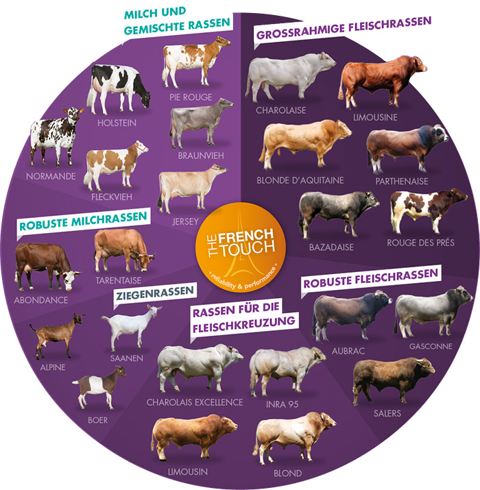 Unsere Rassen | EVOLUTION International